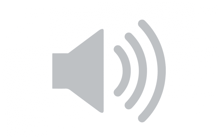 Electrical Archives - XL Service Bodies